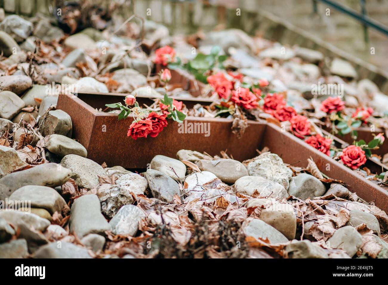 Red metal cross hi-res stock photography and images - Alamy