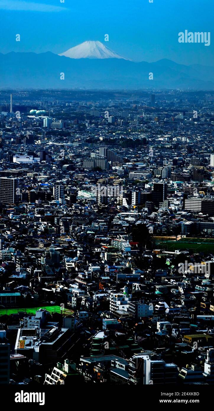 Tokyo semi aerial view hi-res stock photography and images - Alamy