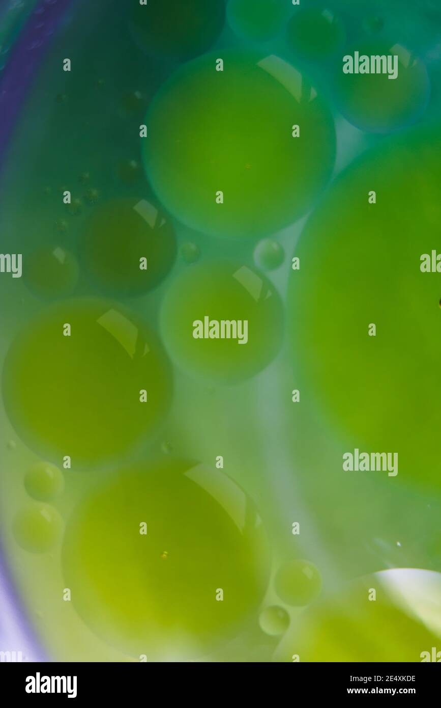 Blurred soft focus of oil spheres in water with color transition from ...