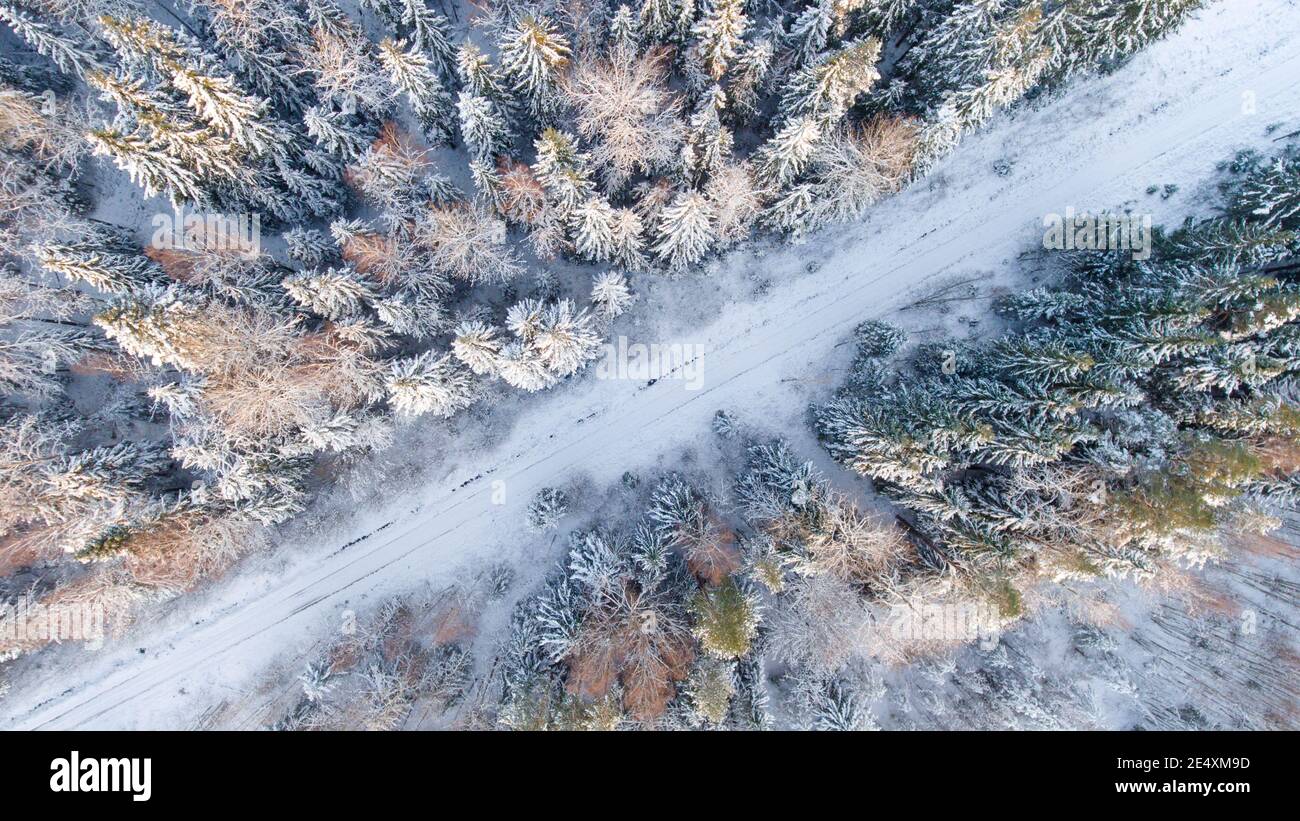 Aerial view of path in scenic winter forest. Beautiful nature. Trees ...