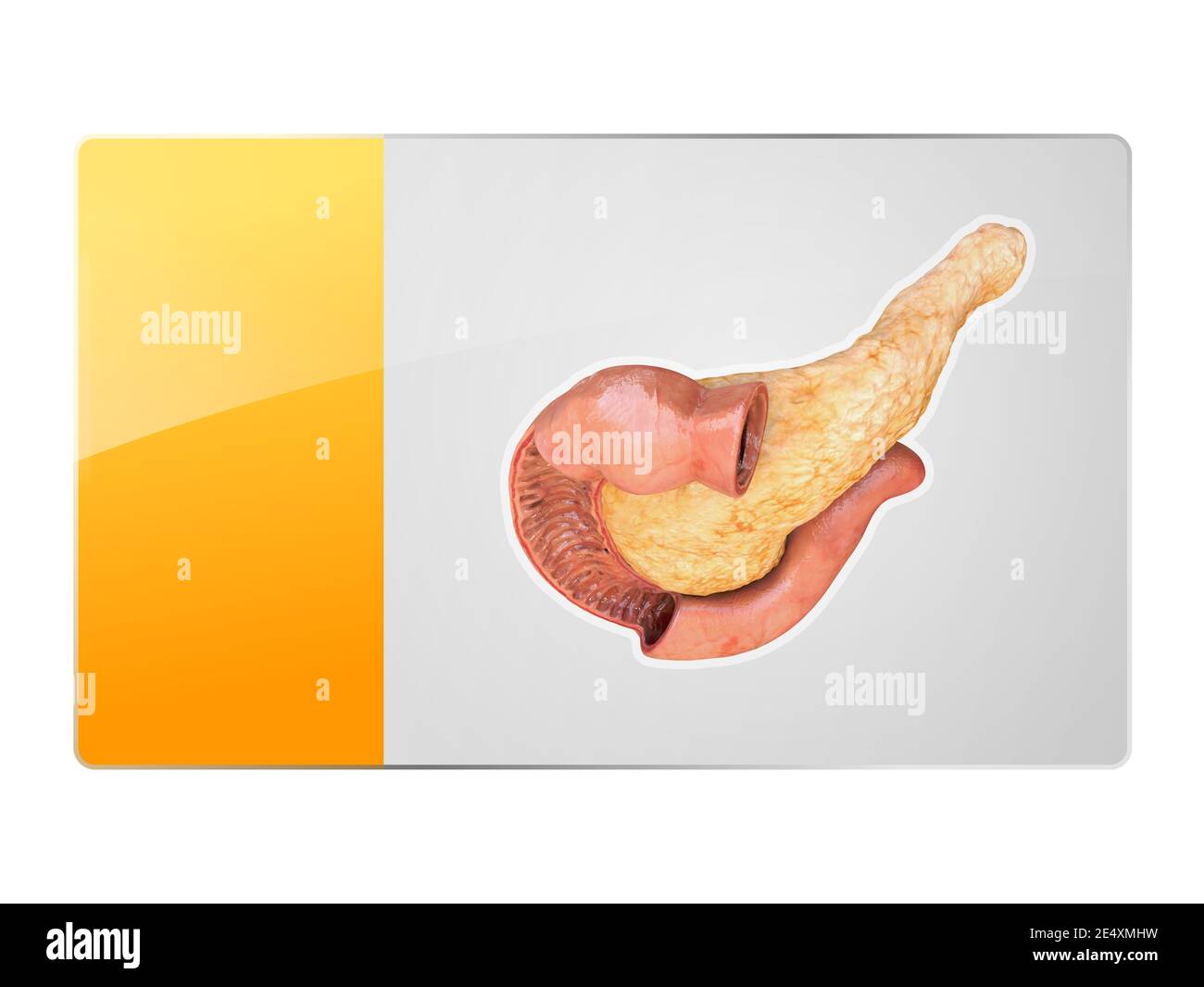 pancreas symbol, button, organ icon for web design, 3d and 2d graphic ...