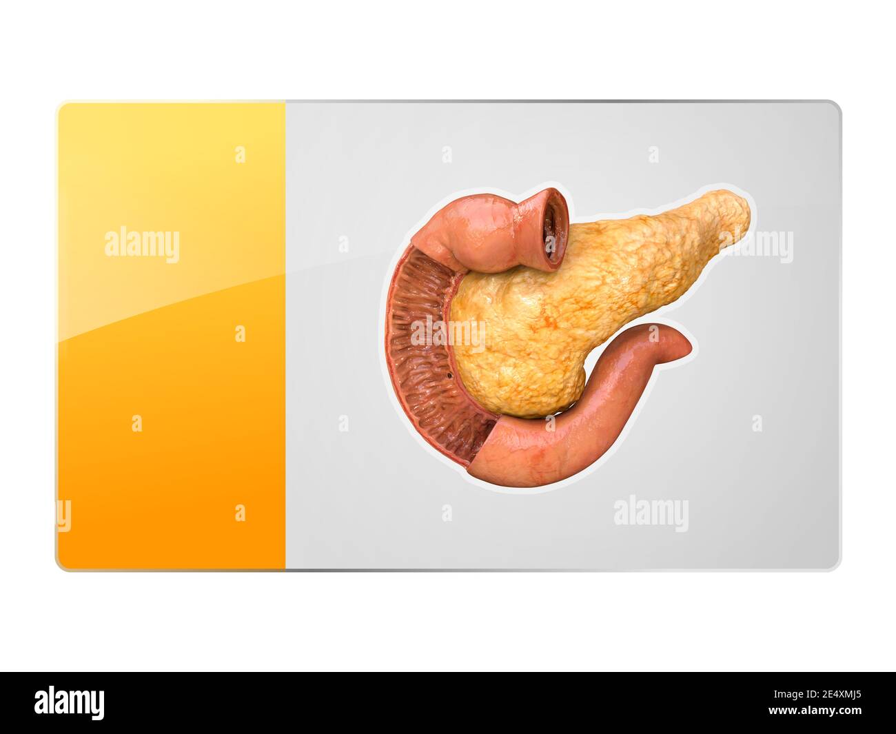 pancreas symbol, button, organ icon for web design, 3d and 2d graphic ...