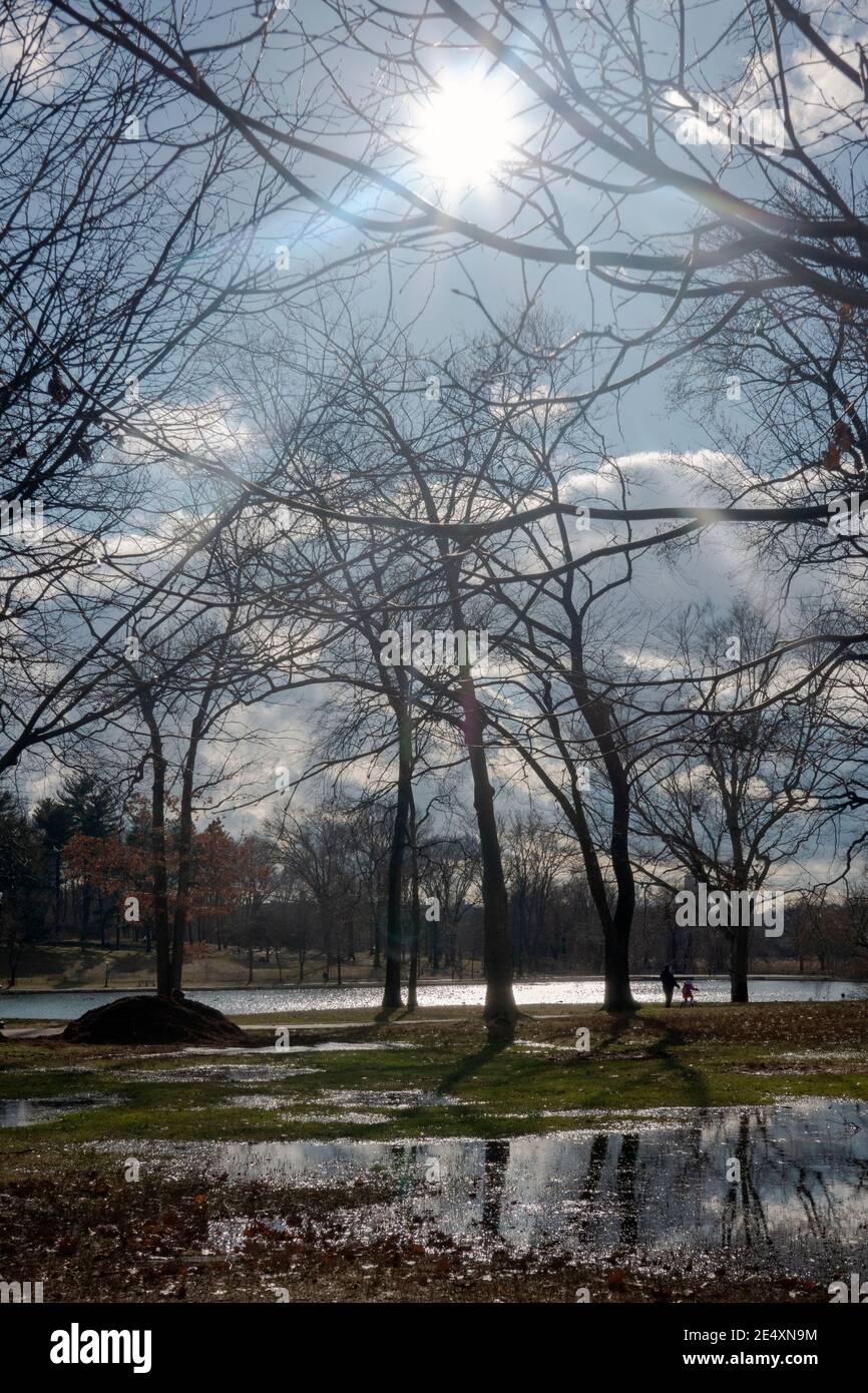The lake area in Kissena Park in the winter after a rain storm. In ...