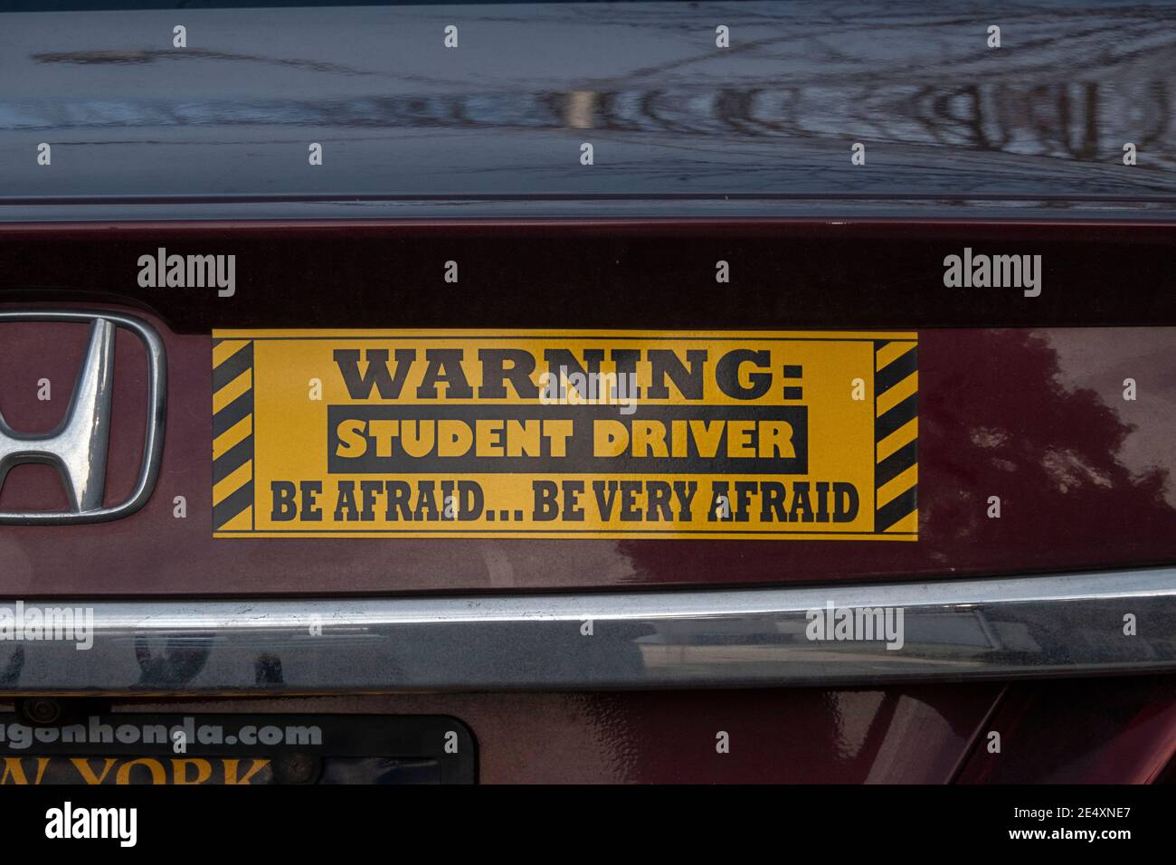 Bumper sticker and student hi-res stock photography and images - Alamy