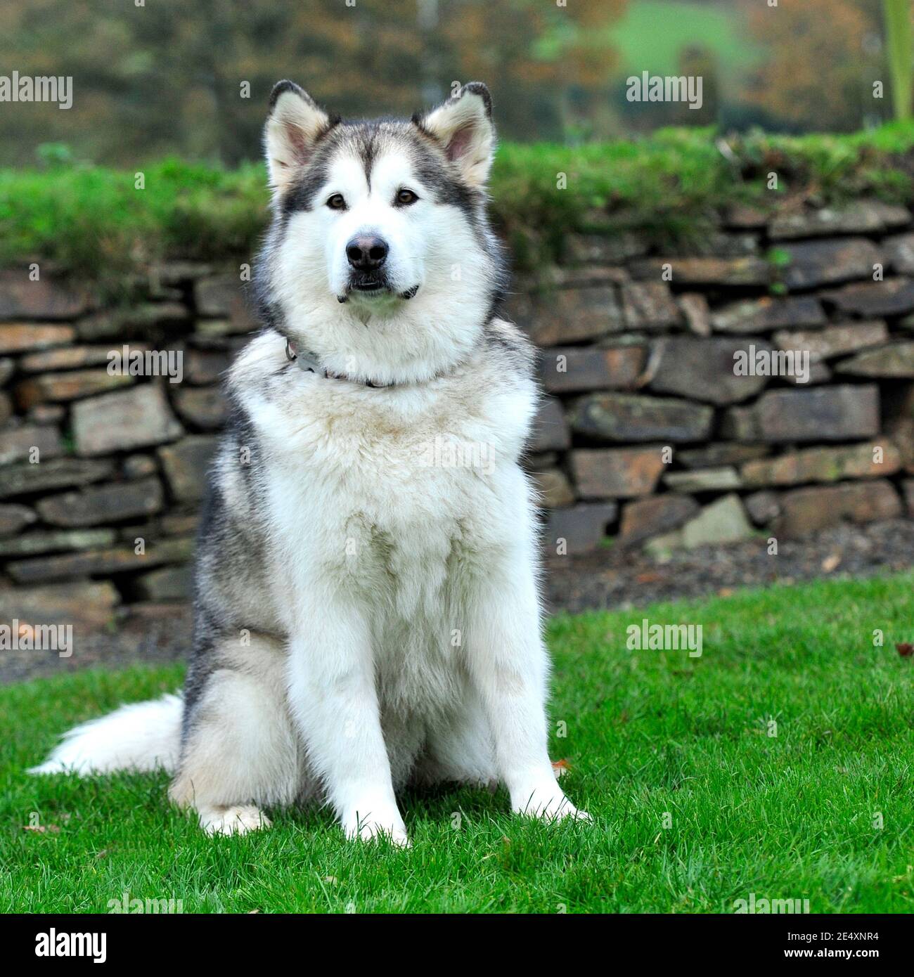 Alaskan view hi-res stock photography and images - Alamy