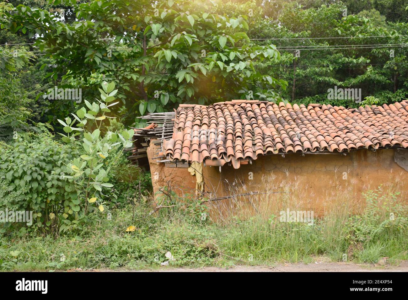 Small ruined house surrounded by beautiful green foliage, during dayli ...