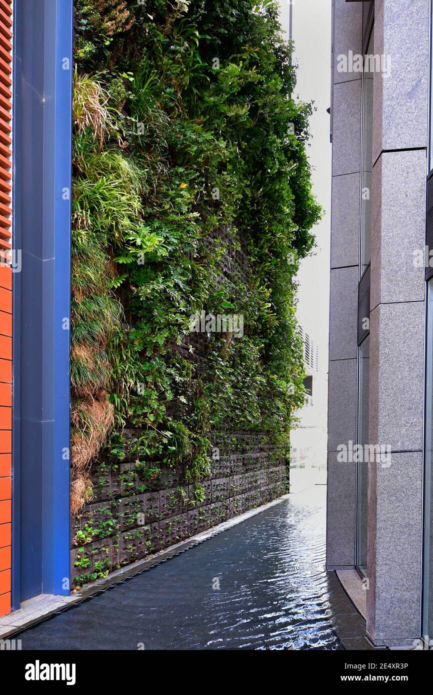 Australia, Perth, wall with green facade and artificially constructed ...
