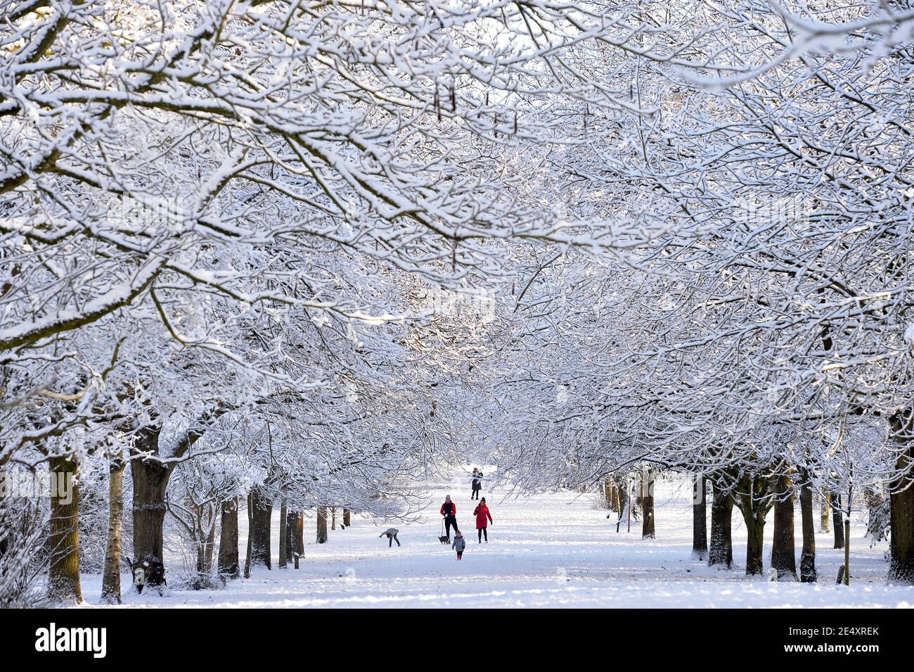 Leicester, UK. 25th Jan, 2021. Walkers on a snowy morning in Knighton ...