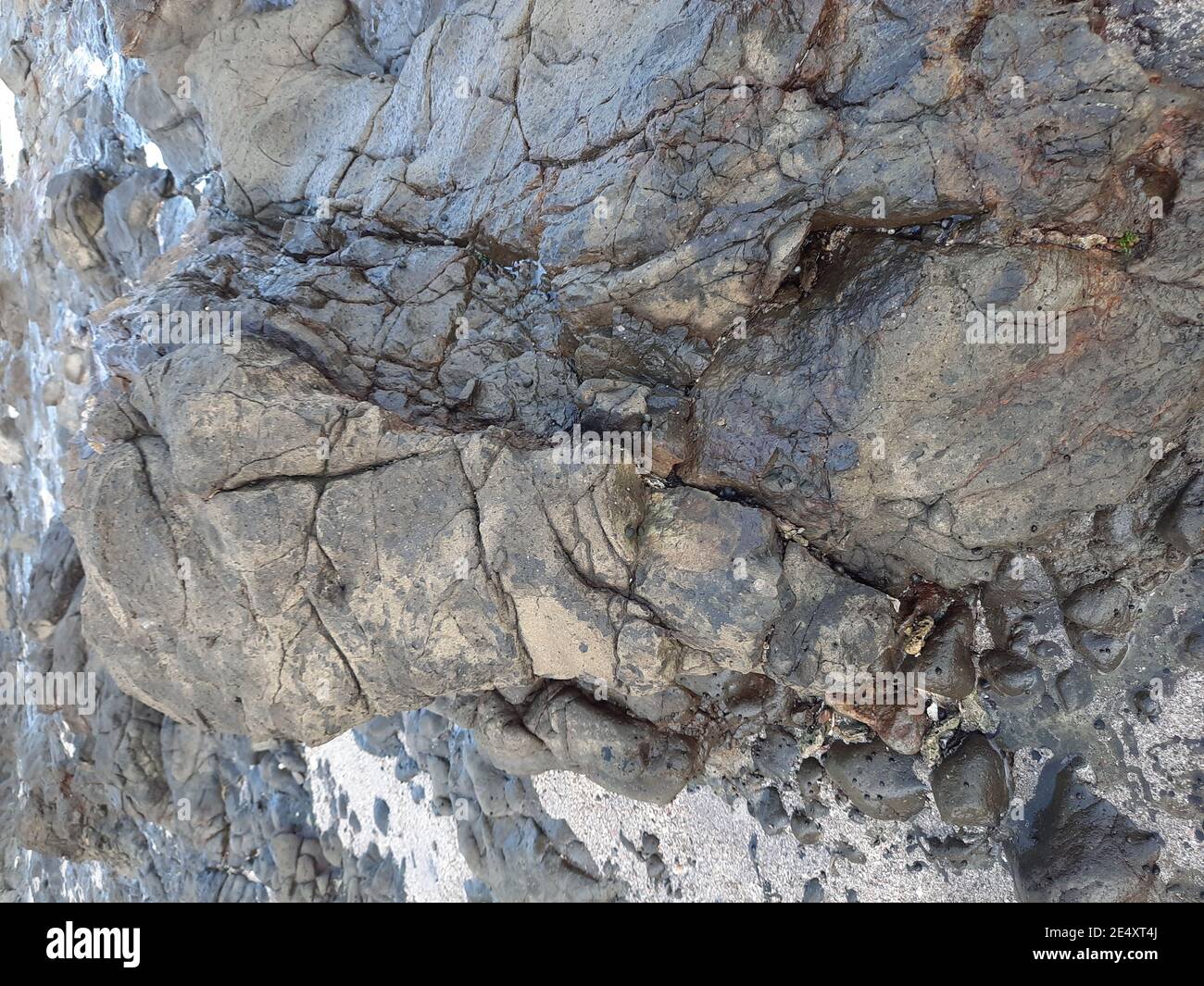Grey bakcground hi-res stock photography and images - Alamy