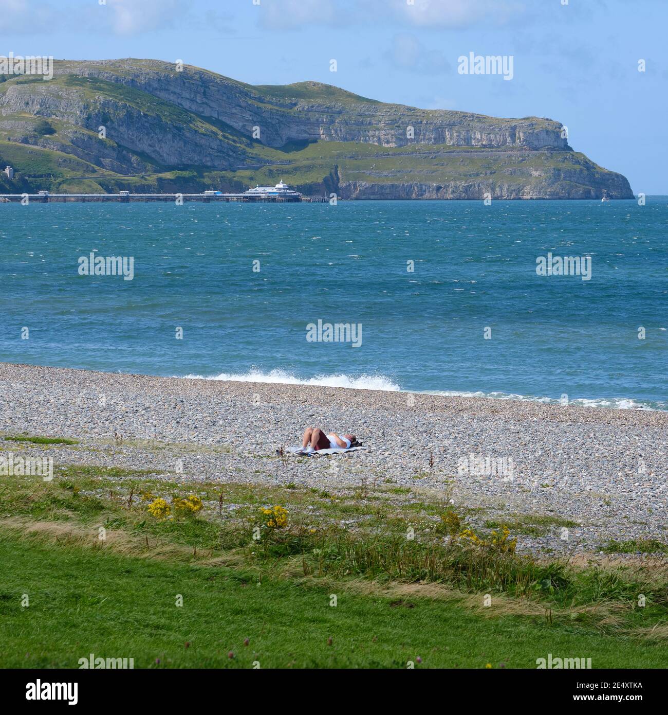 Alone sunbathing sunbather hi-res stock photography and images - Alamy