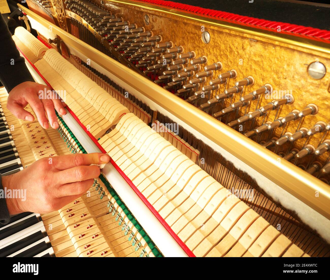 Ratchet musical instrument hi-res stock photography and images - Alamy