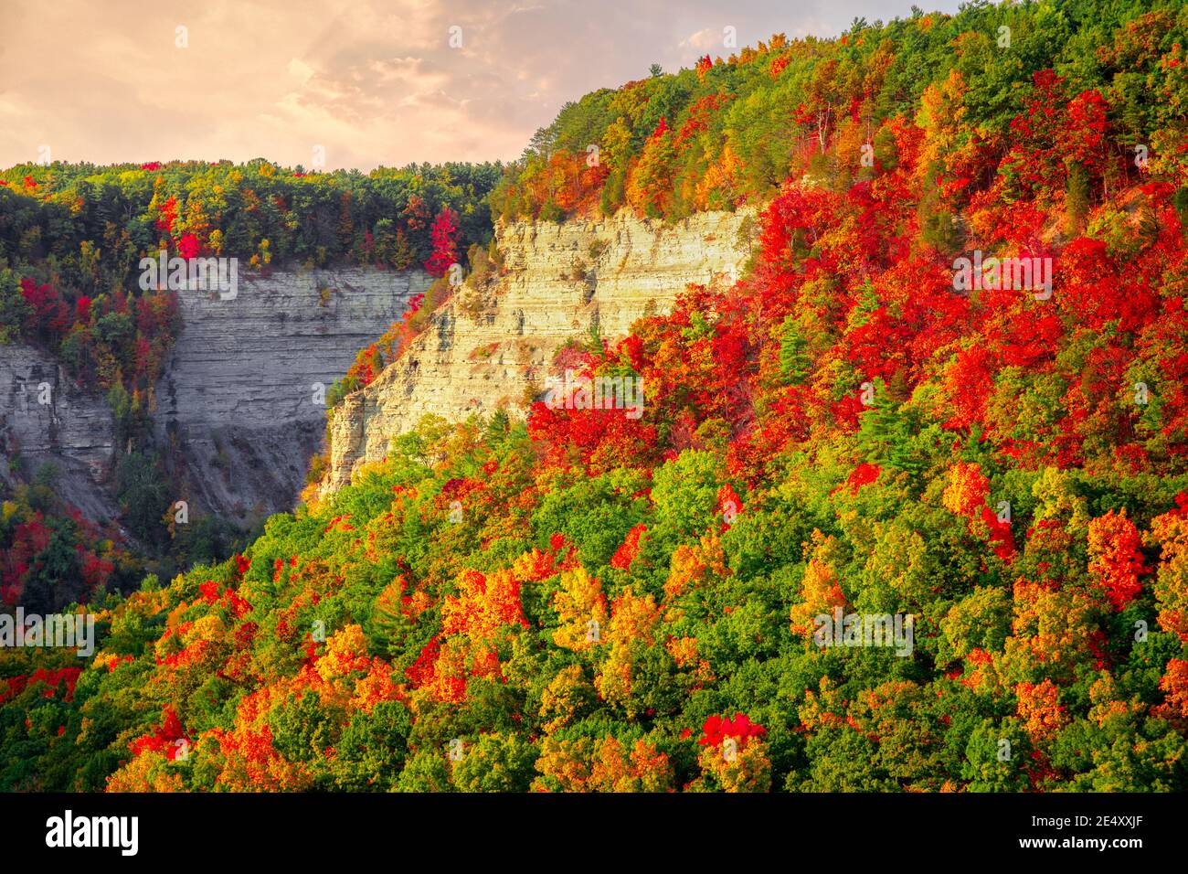 A beatuiful shot of colorful autumn tres on a cliffside in Letchworth ...