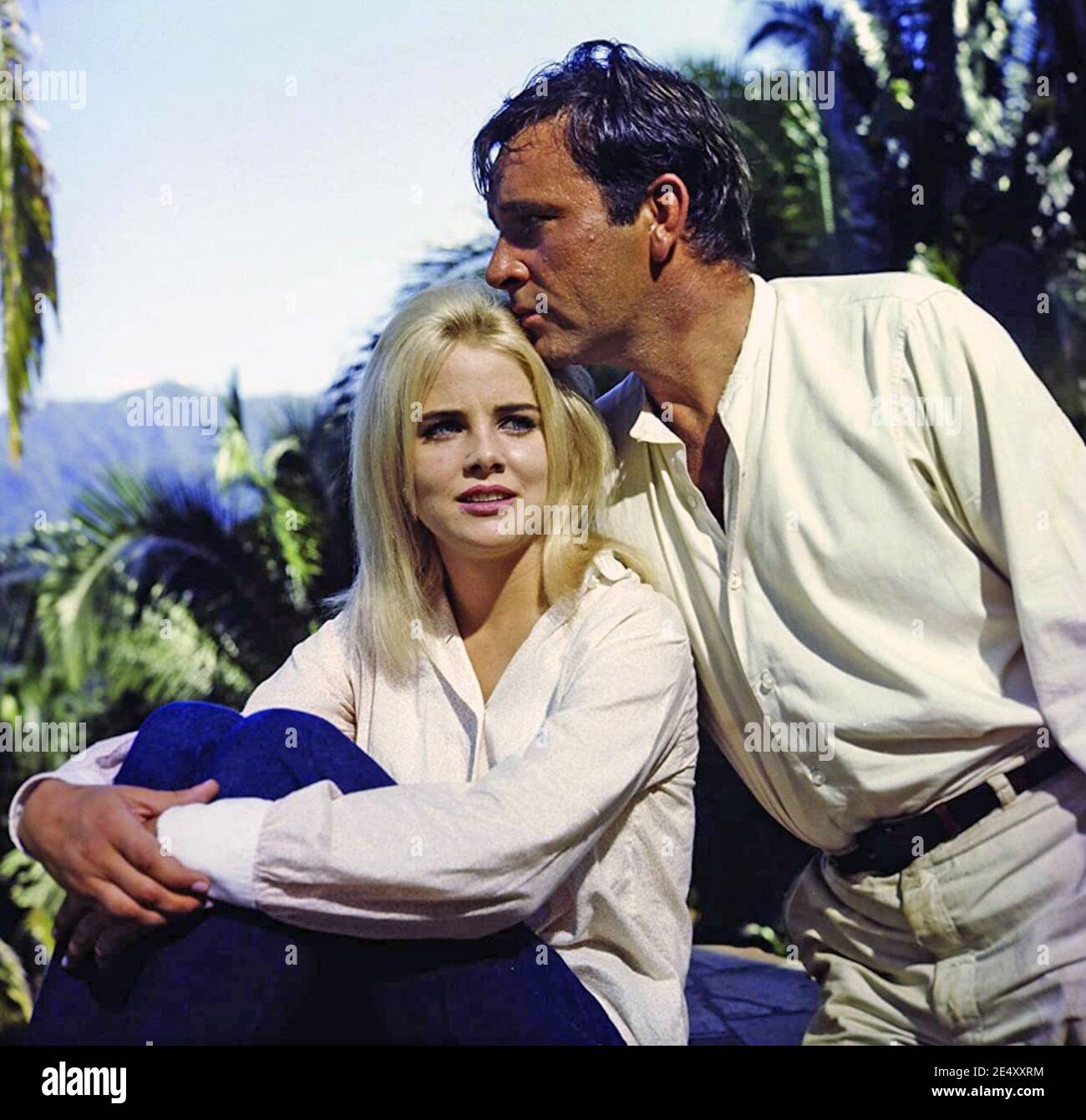 Night iguana 1964 richard burton hi-res stock photography and images ...
