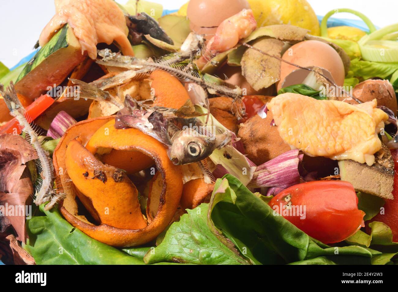 leftover meat, vegetables, fruit, and fish to compost Stock Photo - Alamy