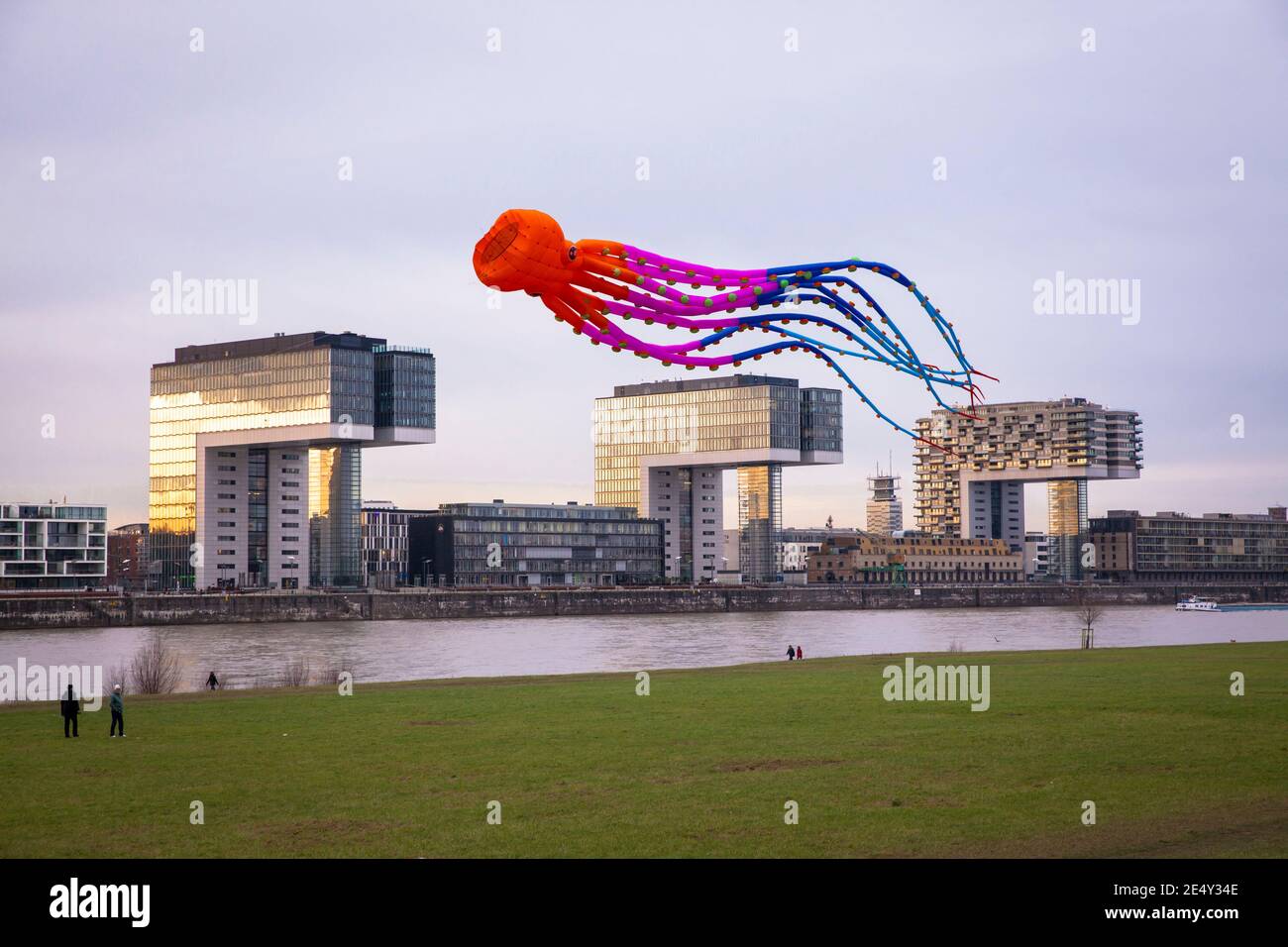 Crane octopus hi-res stock photography and images - Alamy