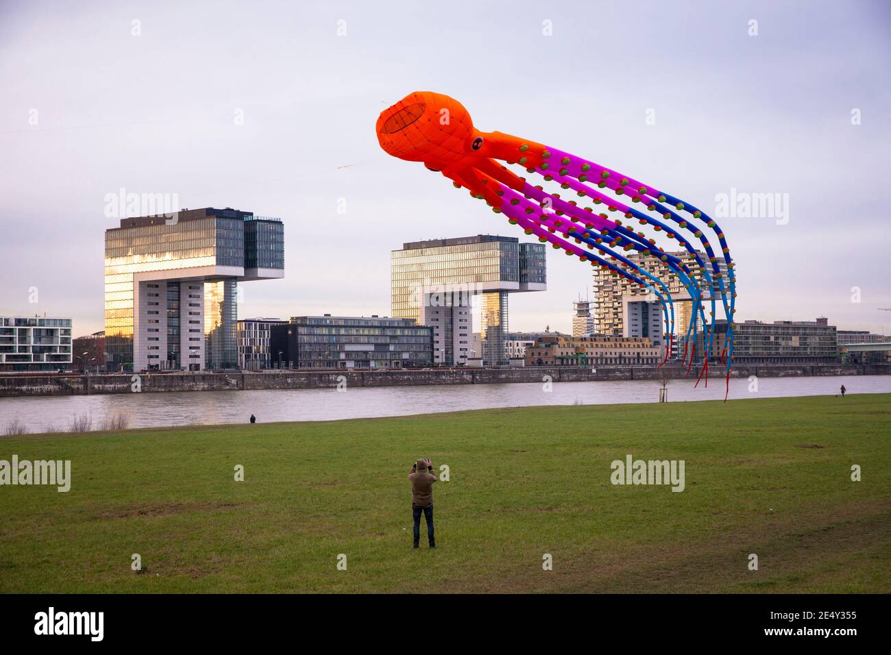 Crane octopus hi-res stock photography and images - Alamy