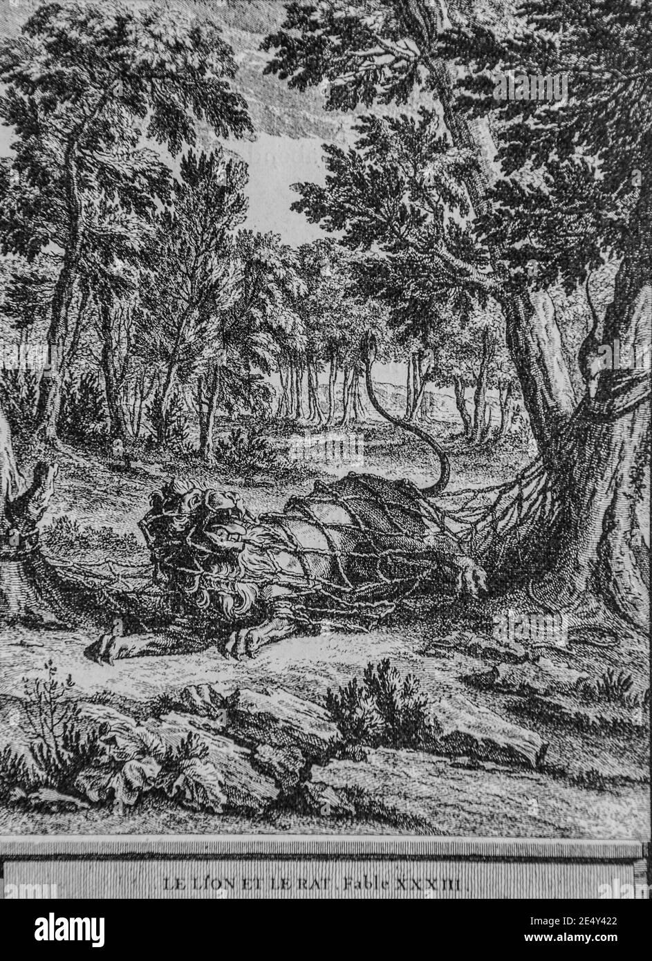le lion et le rat,fables de la fontaine,editeur talan,dier 1904,dessin ...