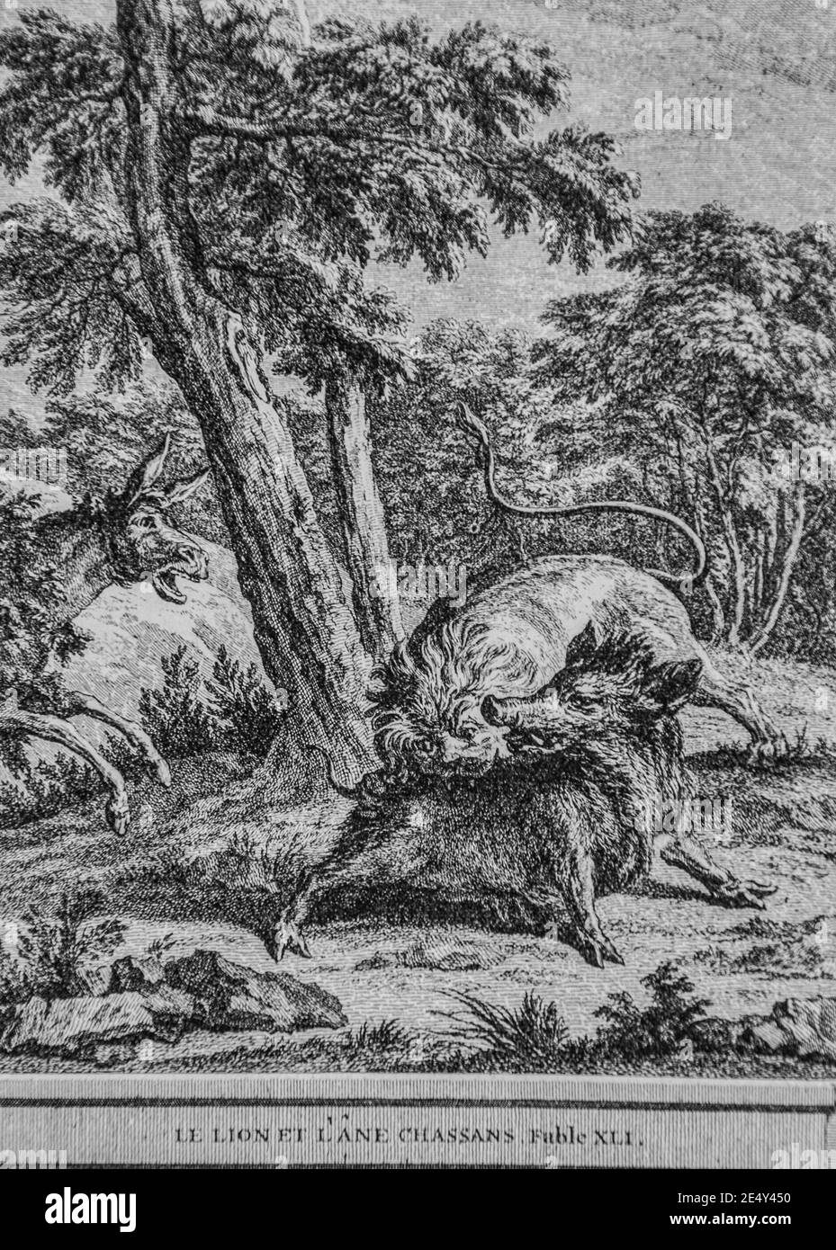 Le Lion Et Lane Chassans Fables De La Fontaine Editeur Talan Dier 1904
