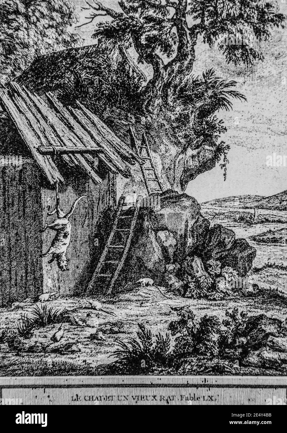 le chat et le vieux rat,fables de la fontaine,editeur talan,dier 1904 ...