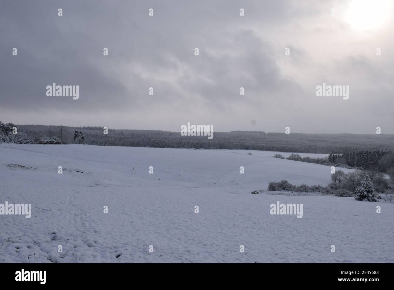 Driving in snow night village hi-res stock photography and images - Alamy