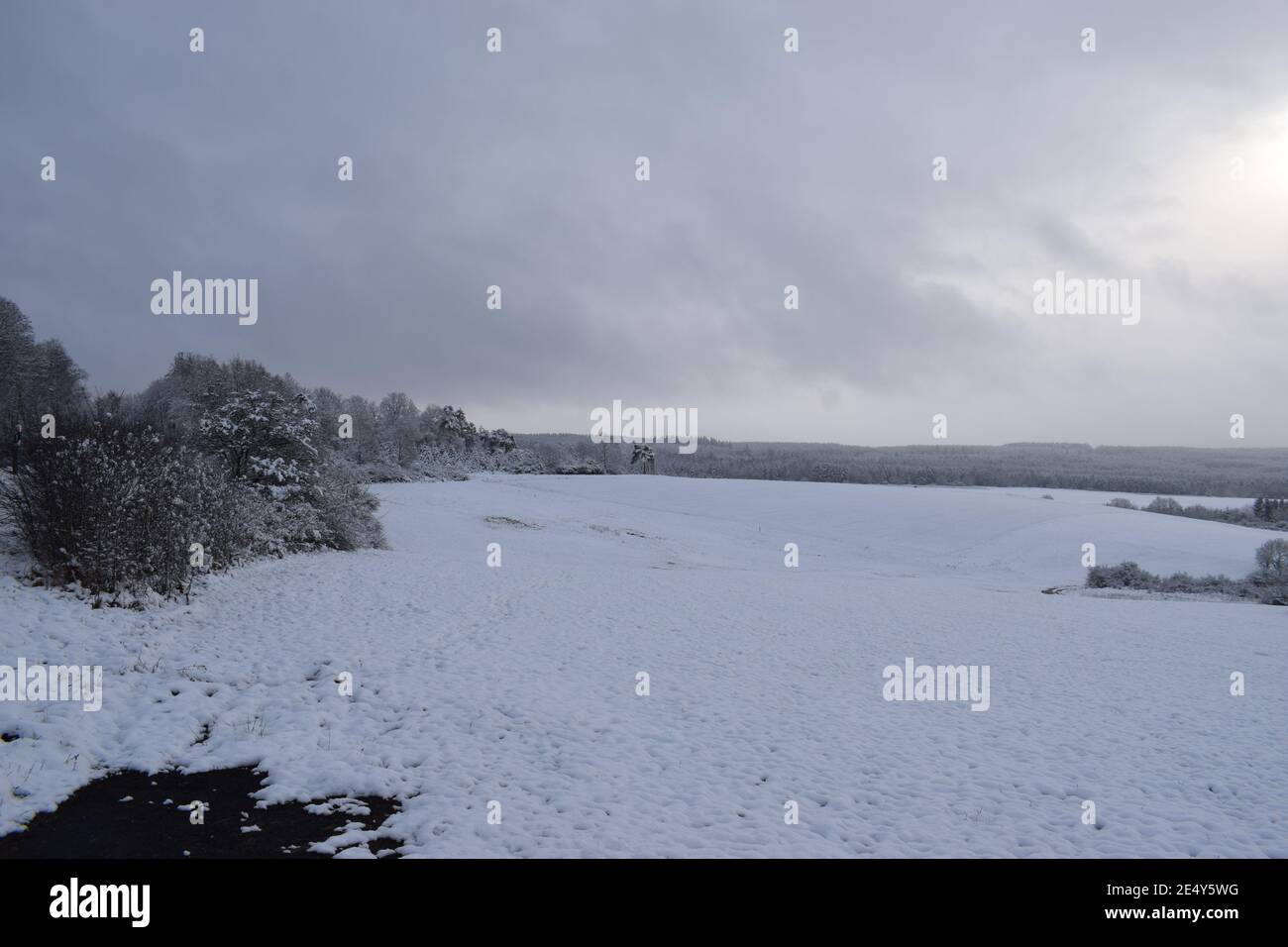 gloomy snow storm day in the Eifel Stock Photo - Alamy
