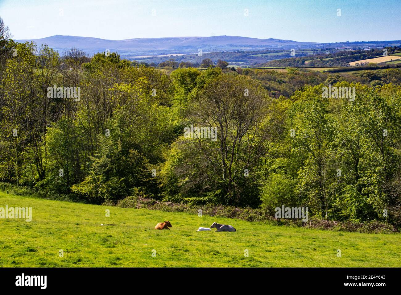 Beaford devon hi-res stock photography and images - Alamy