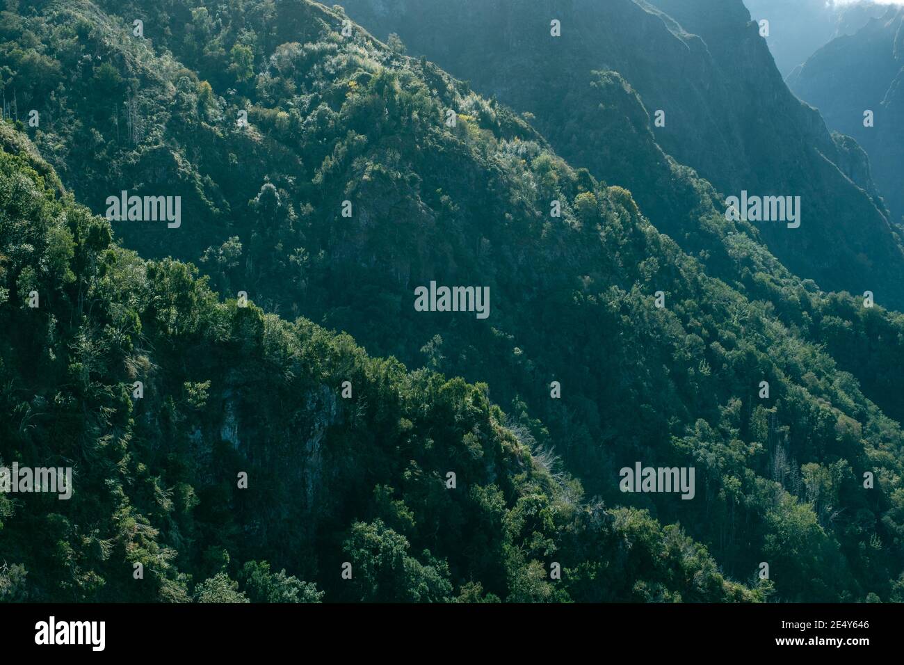 The ridge of a set of mountain range covered with green trees forming a ...