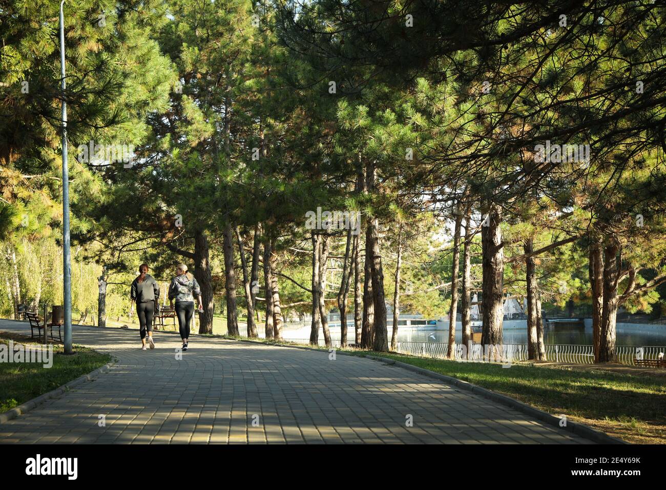 Beautiful city park in bright sunny morning Stock Photo - Alamy