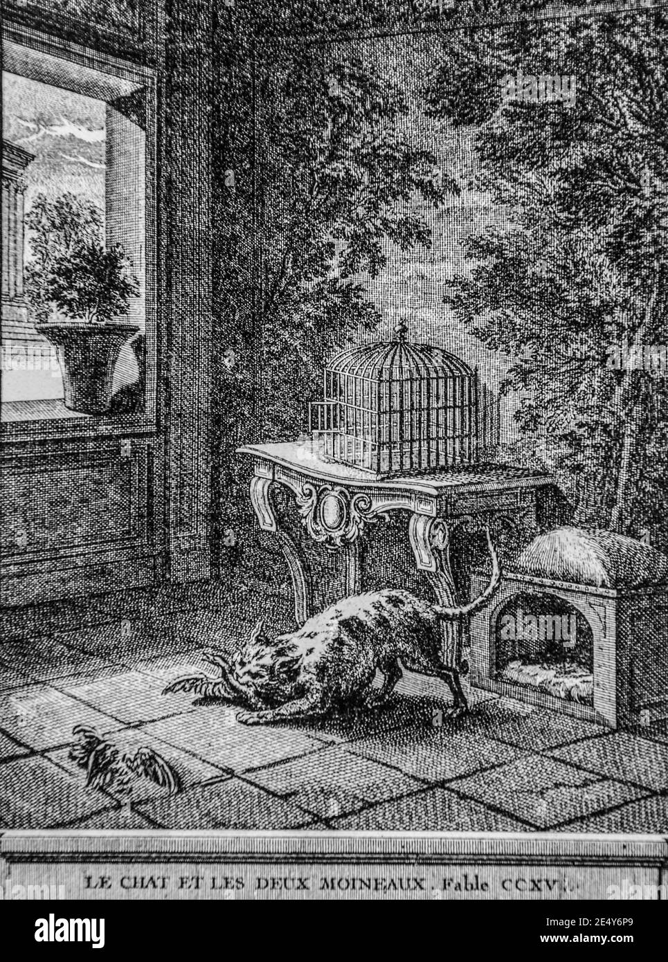 Chat noir et blanc dessin hi-res stock photography and images - Alamy