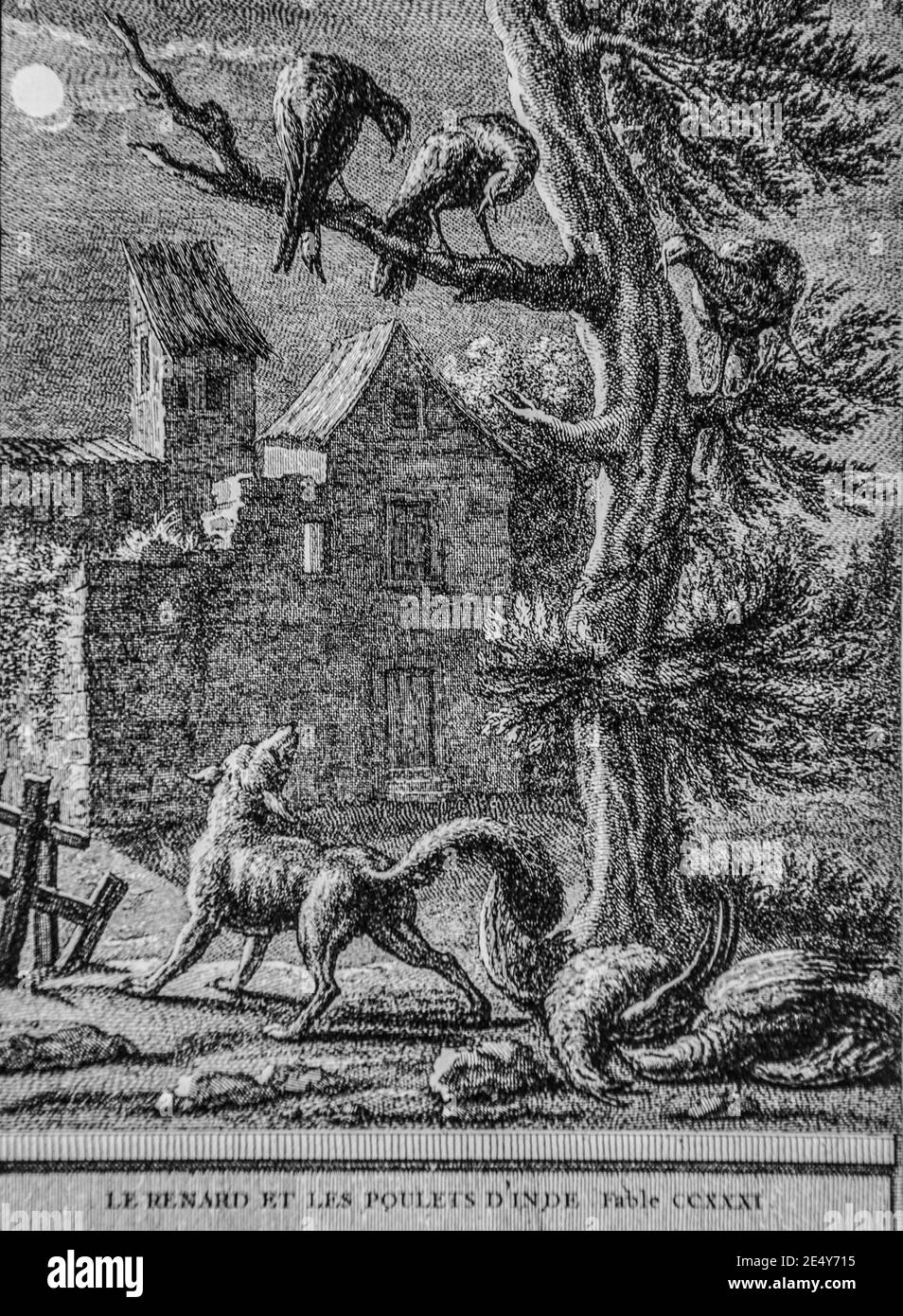 le renard et les poulets d'inde ,fables de la fontaine,editeur talan ...