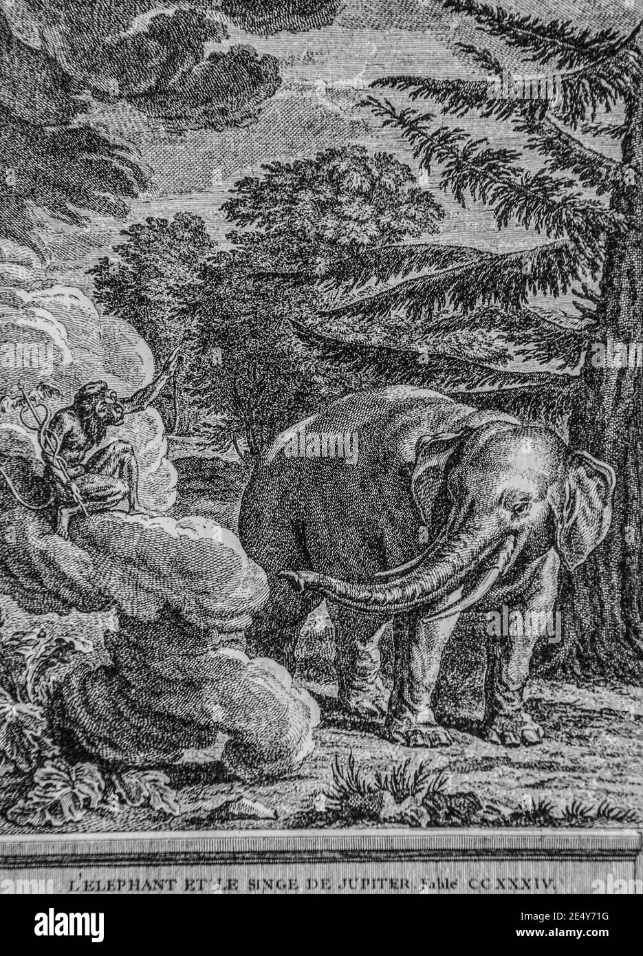 l'elephant et le singe de jupiter fables de la fontaine,editeur talan ...