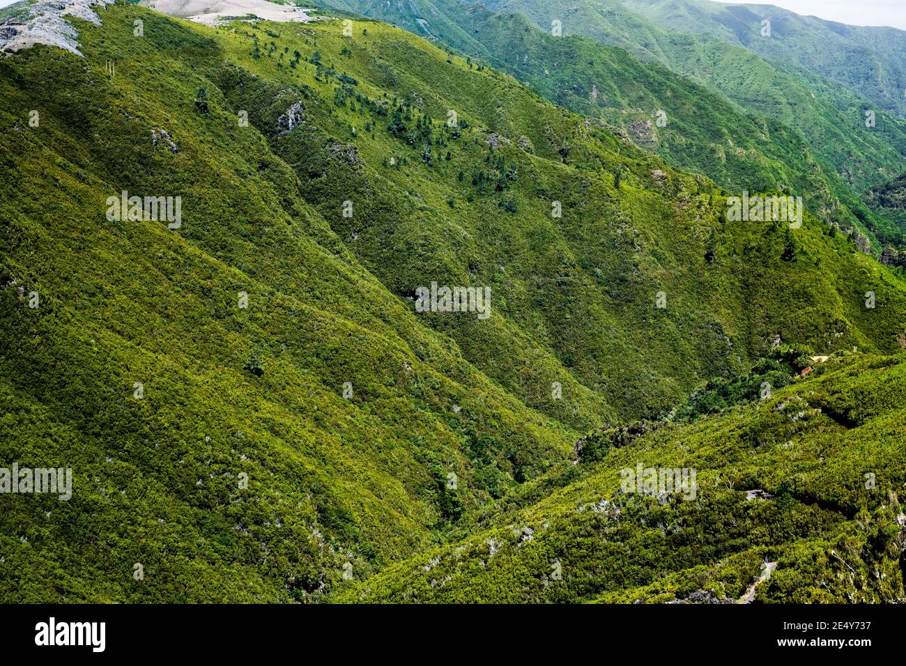 Aerial view of a valley between two mountains covered with green trees ...