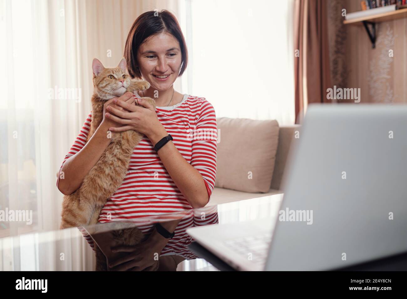 Ginger cat works in office hi-res stock photography and images - Alamy