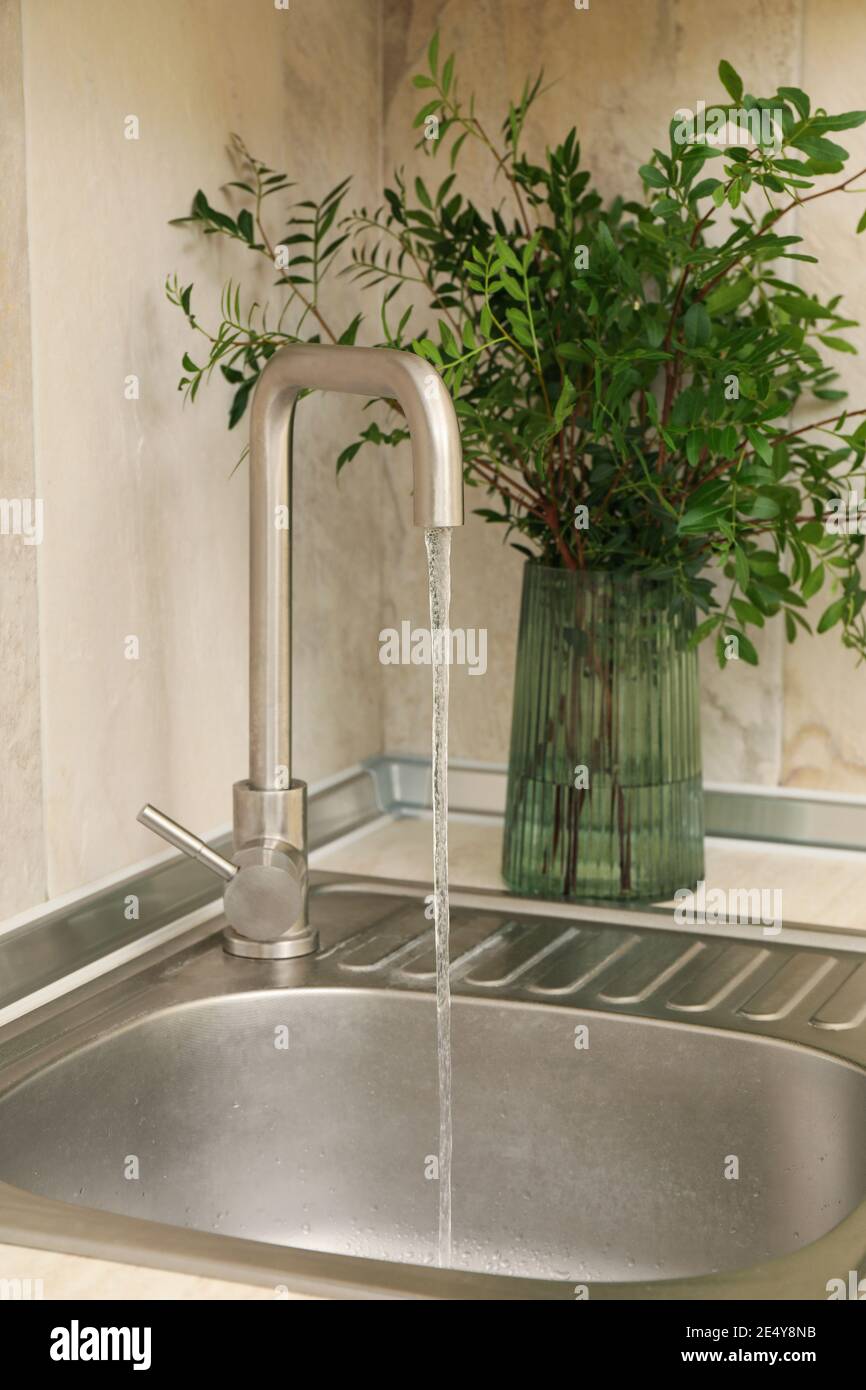 Kitchen sink with faucet and vase with plant Stock Photo - Alamy