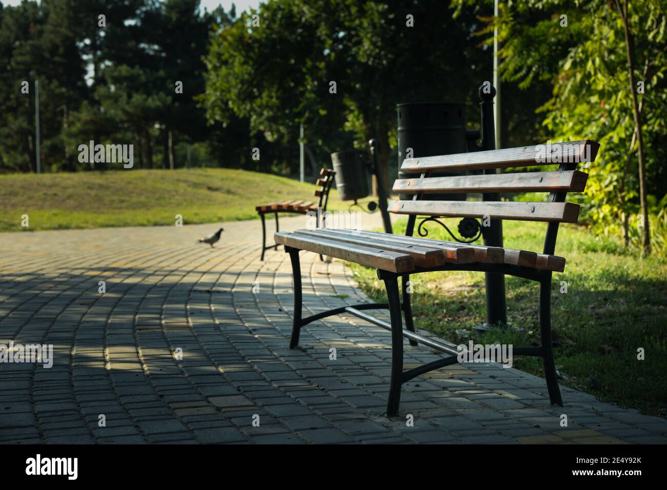 Benches in beautiful city park in bright sunny morning Stock Photo - Alamy