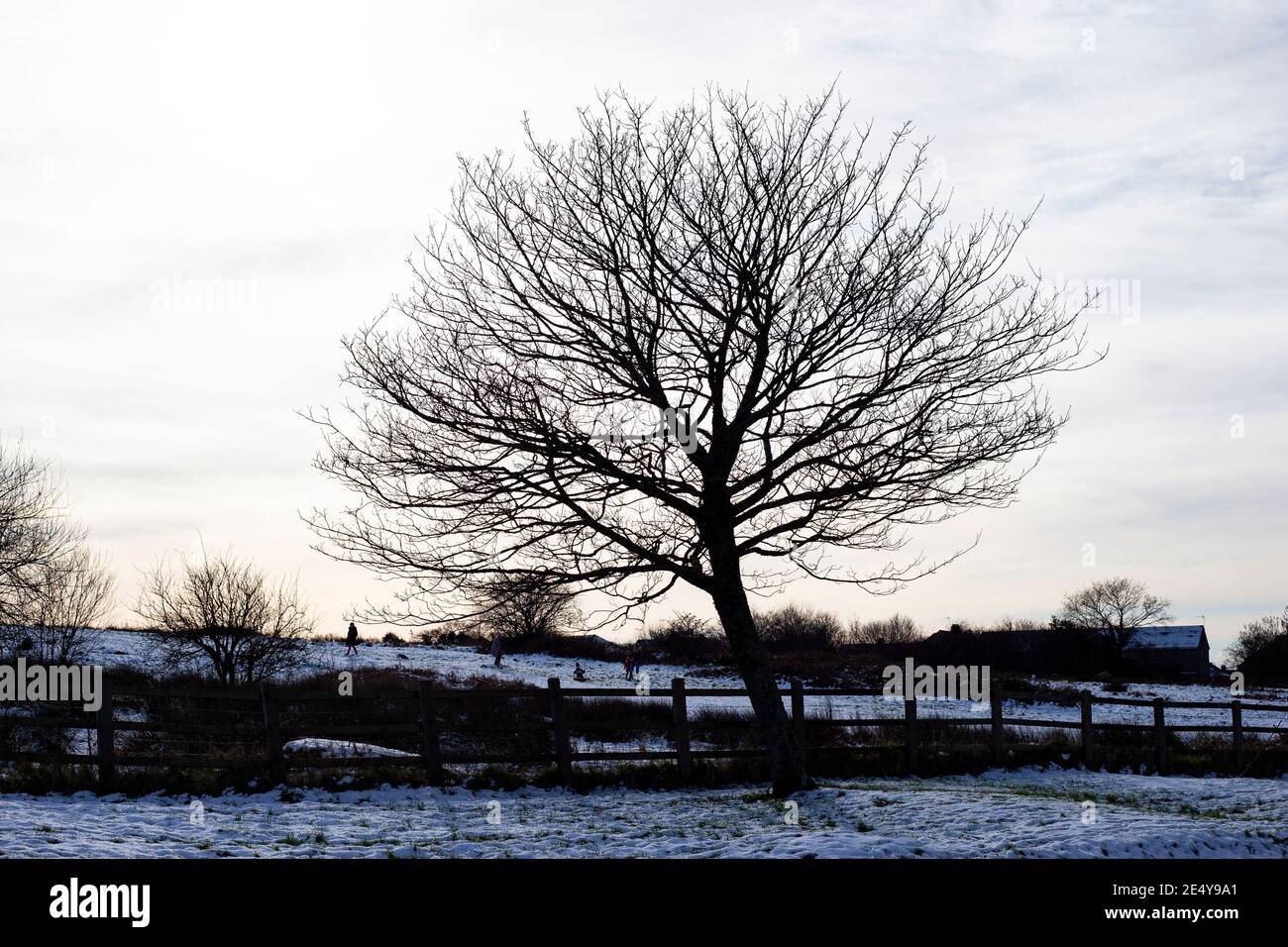 A view of Coity Common at Bryncethin, Bridgend after snowfall across ...