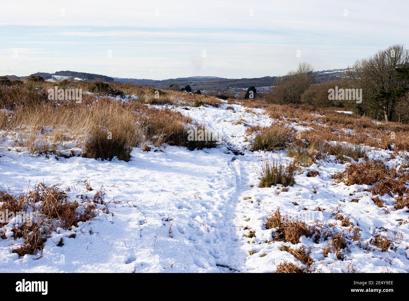 Bryncethin hi-res stock photography and images - Alamy