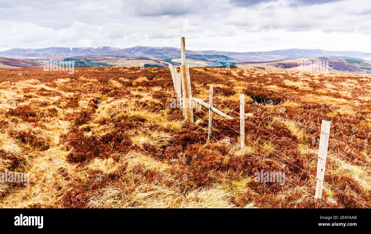 Scottish highland landscape Stock Photo - Alamy