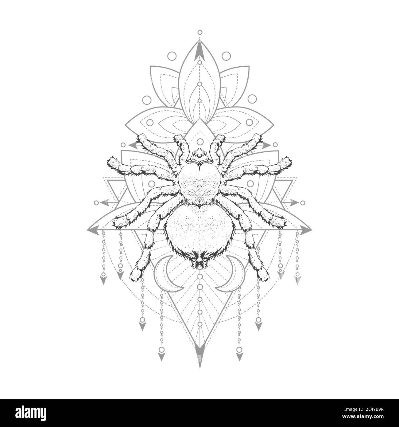 Vector illustration with hand drawn spider and Sacred geometric symbol ...