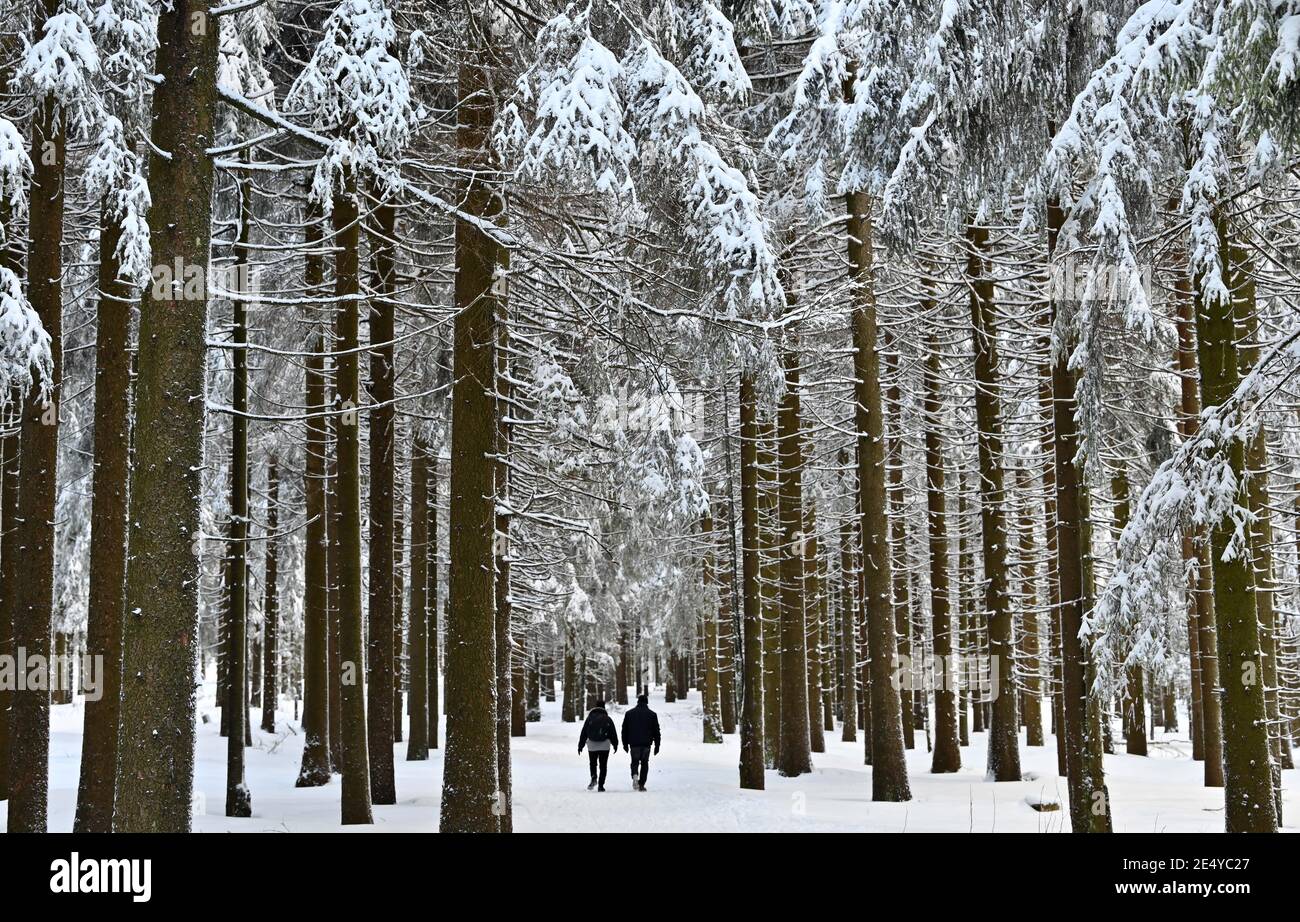 Persist into winter hi-res stock photography and images - Alamy