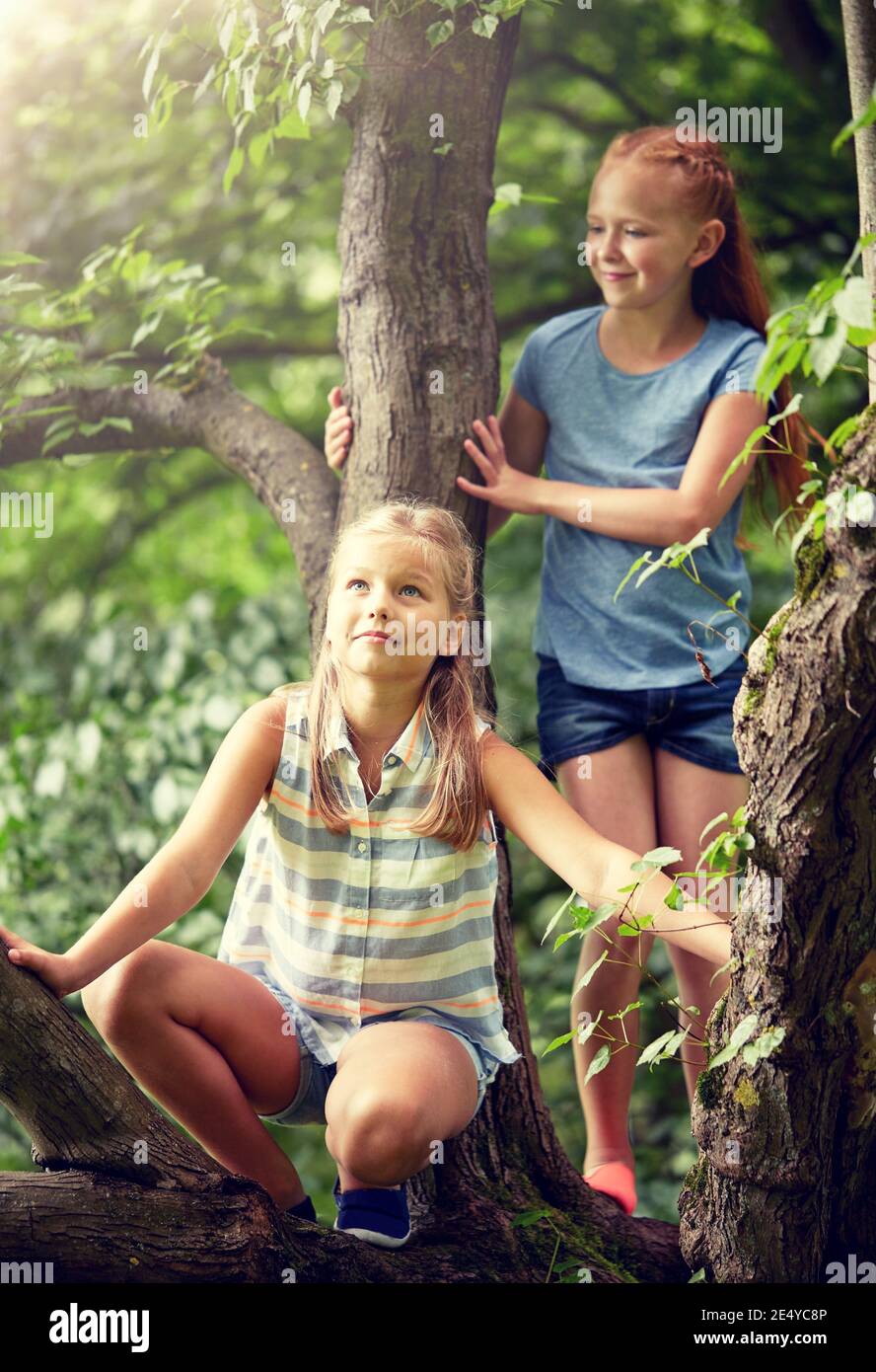 Girls climb up tree hi-res stock photography and images - Alamy