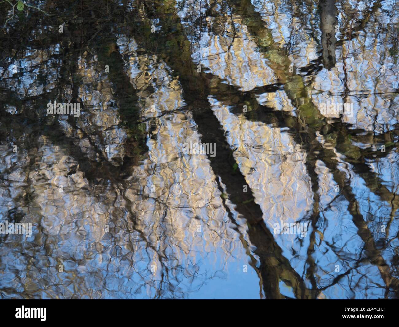 Abstract nature hi-res stock photography and images - Alamy