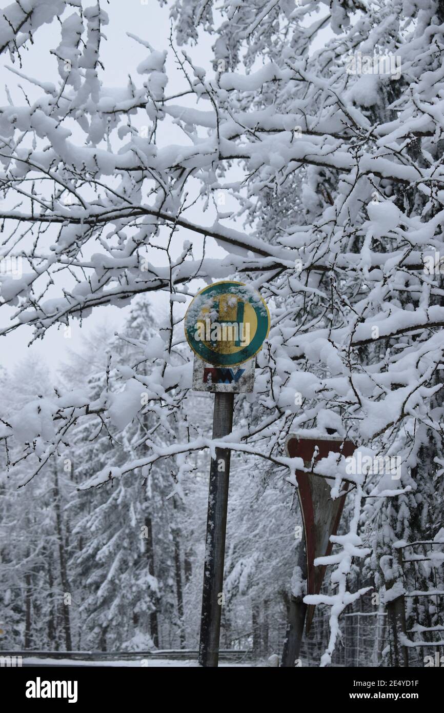 Bus driving through forest hi-res stock photography and images - Alamy