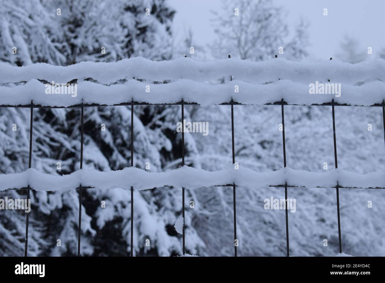 snow covered fence Stock Photo - Alamy