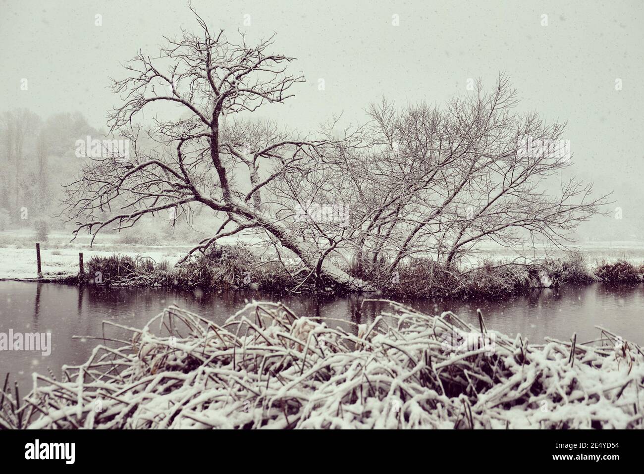 Guildford in the snow hi-res stock photography and images - Alamy