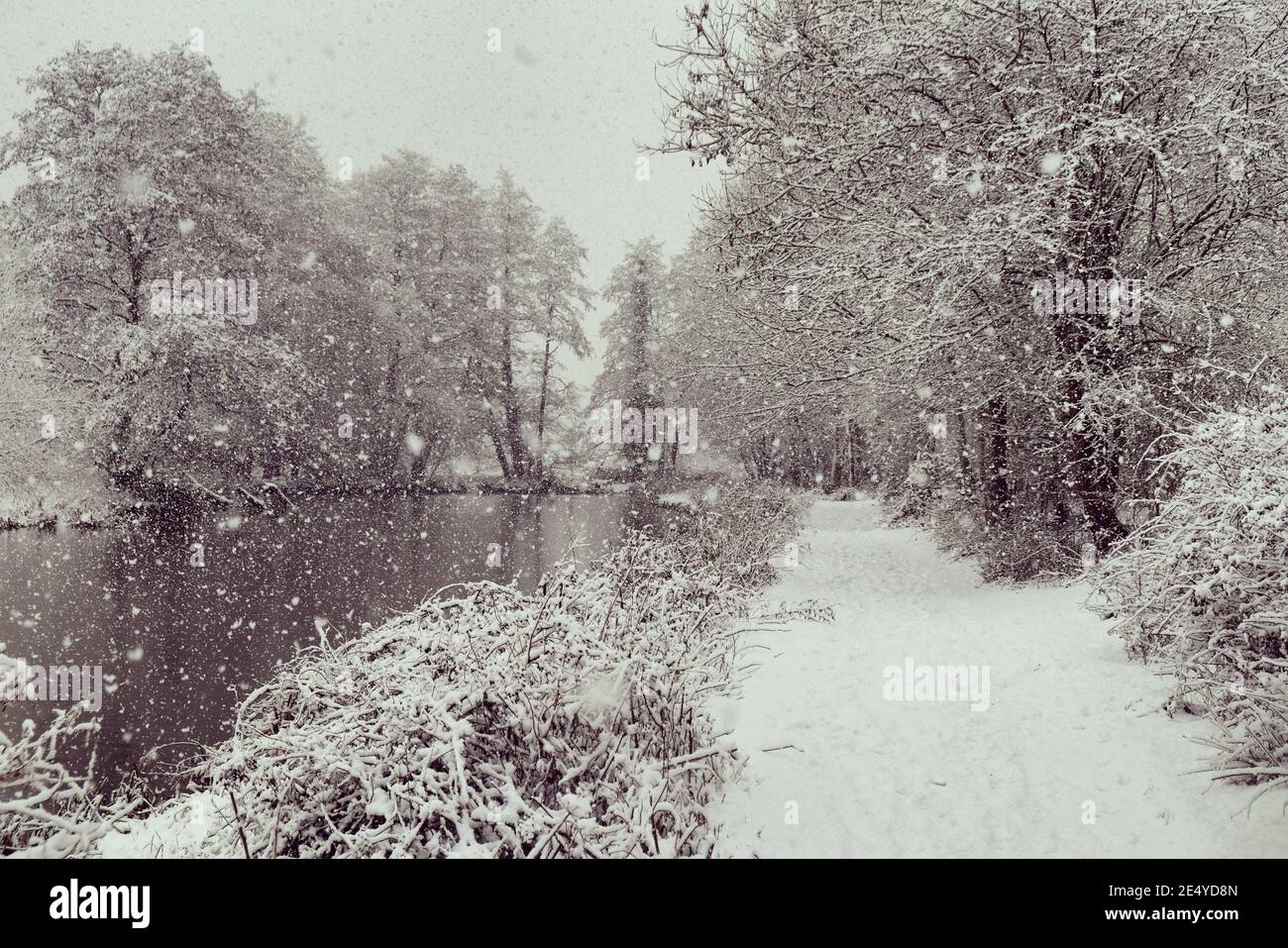 Guildford in the snow hi-res stock photography and images - Alamy