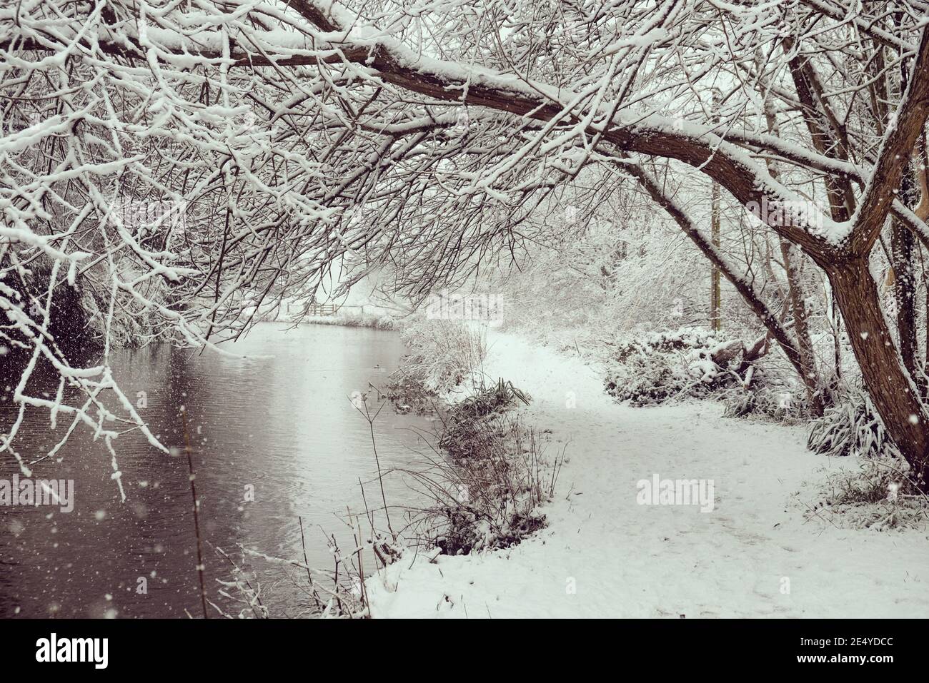 Guildford in the snow hi-res stock photography and images - Alamy