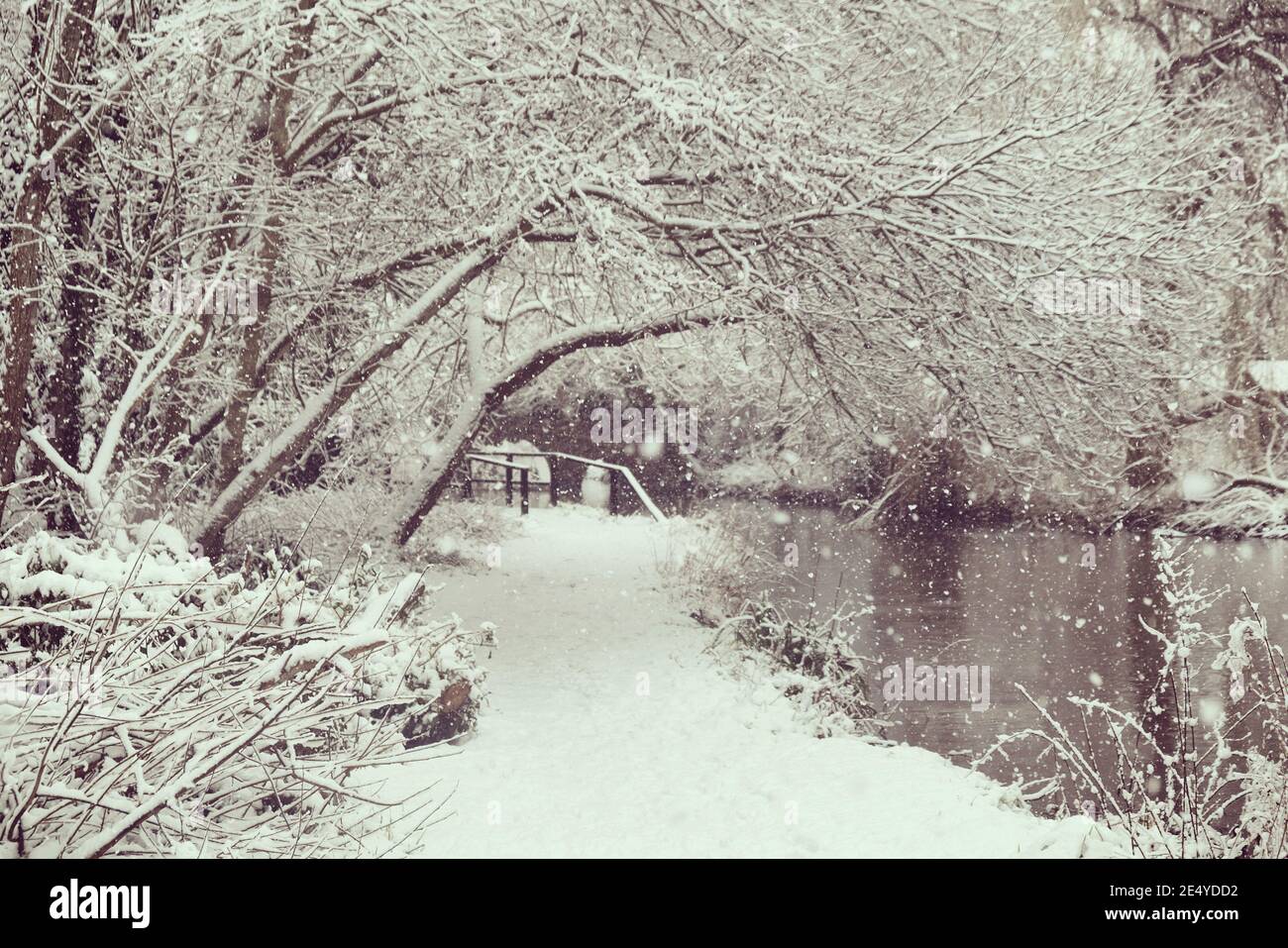 Snow falling over the River Wey in Godalming, Surrey, UK Stock Photo ...