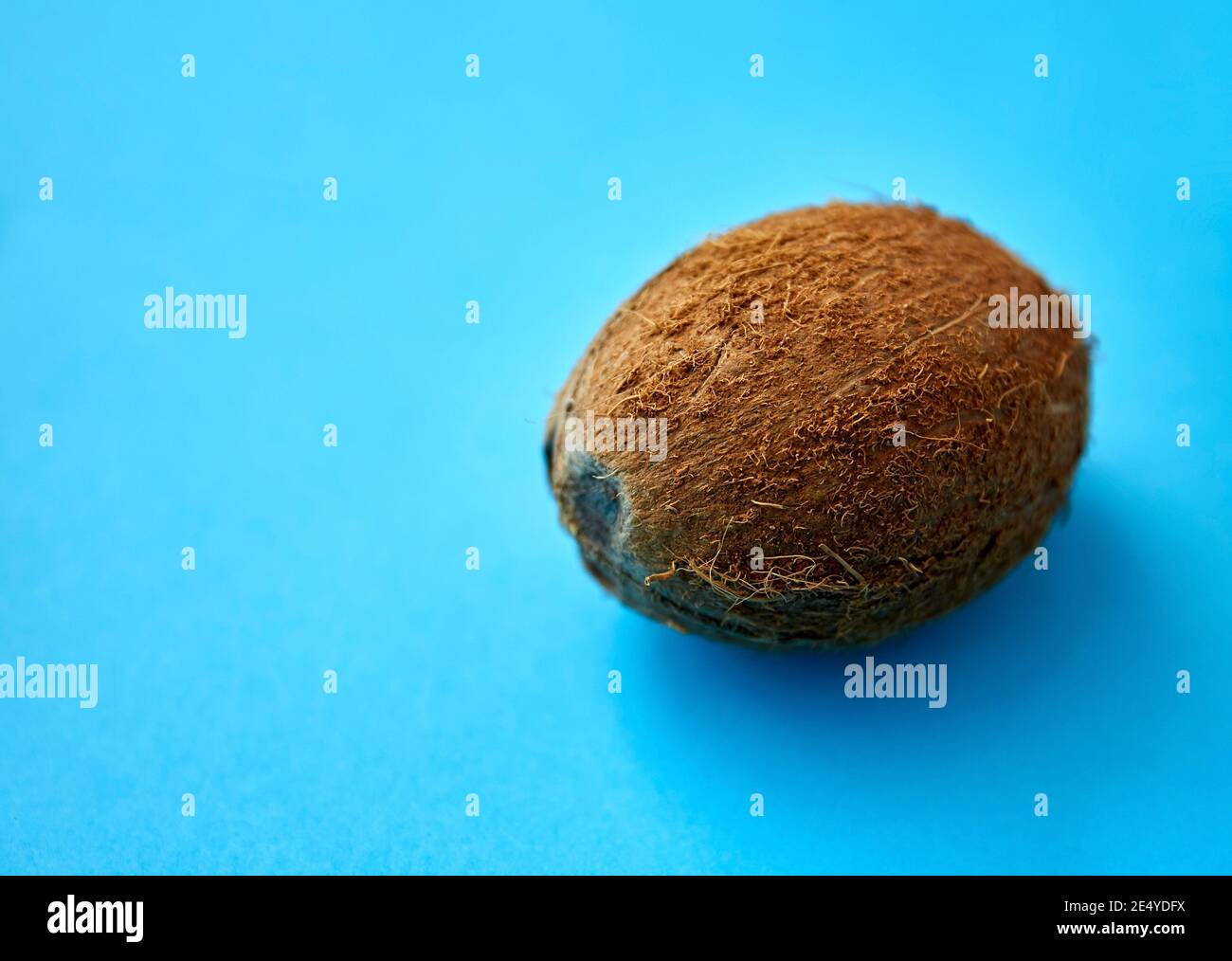 Top view ripe coconut hi-res stock photography and images - Alamy