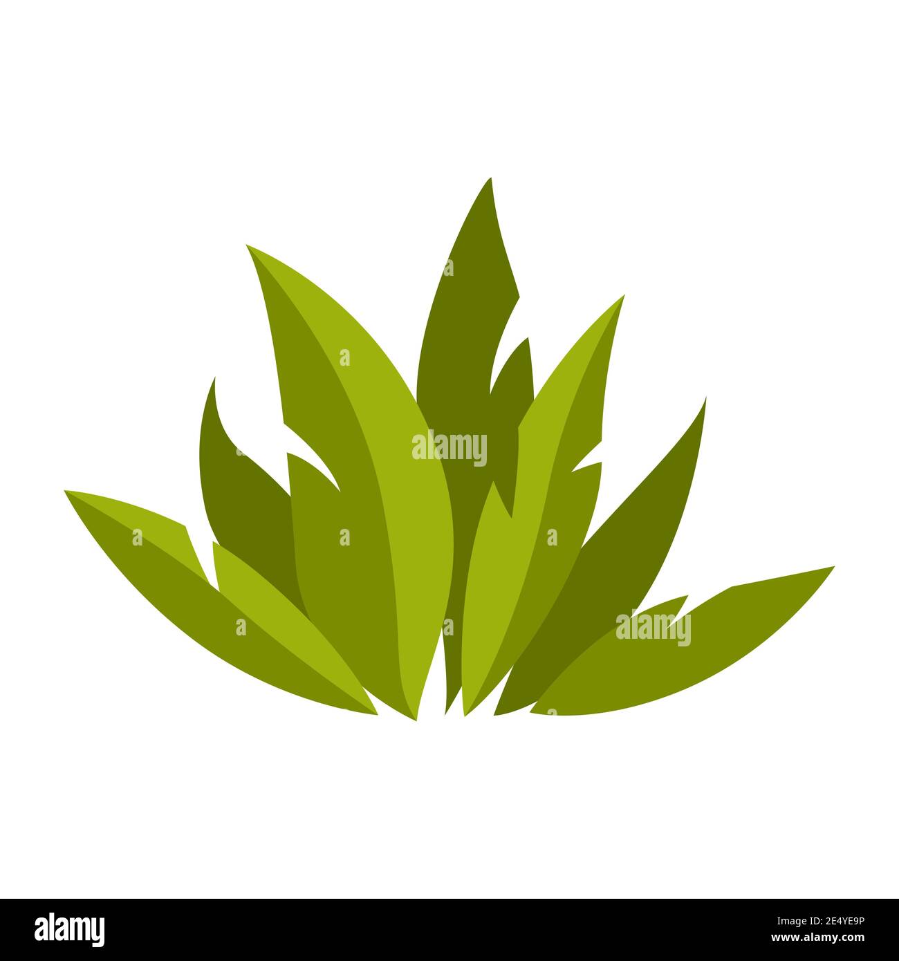 Landscape design evergreen bush Stock Vector Images - Alamy